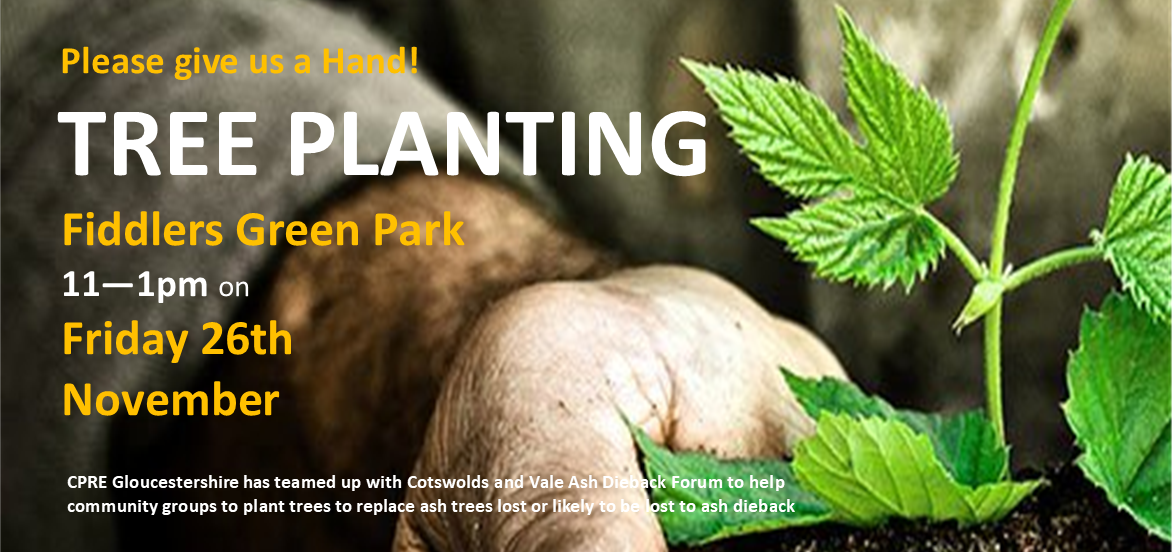 Tree planting in Fiddlers Green Park – hesters way forum